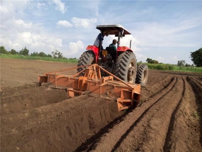 Tractor Mounted 8Ha/Day Cassava Planter Machine 4 Rows Tractor Drawn Ridger