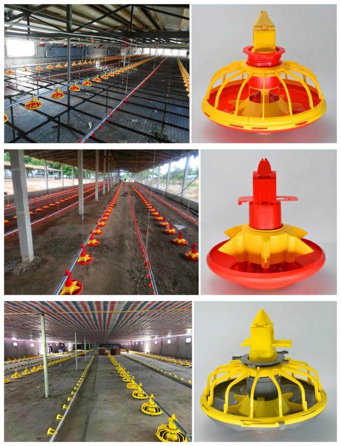 Automatic Poultry Control Shed Equipment For Chicken Broiler And Breeder