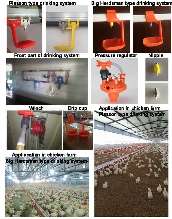 Automatic Poultry Control Shed Equipment For Chicken Broiler And Breeder