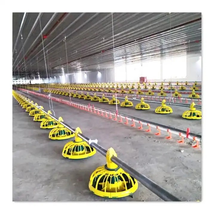 Complete Automatic Poultry Farm Equipment Broiler Chicken Cage T607 ...