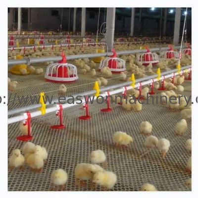 Automatic Poultry Farm Equipment factory, Buy good quality Automatic ...