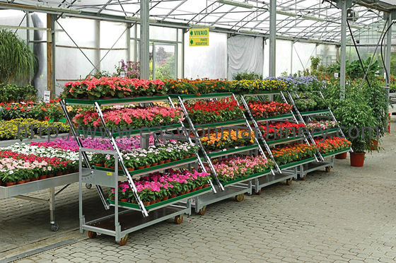 display 500KG Plant Trolley On Wheels , ISO Flower Rack Outdoor